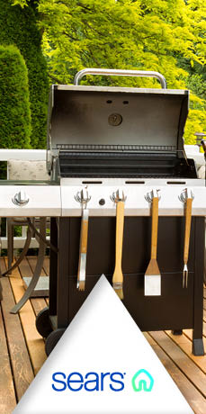 No Credit Needed Leasing | TEMPOE